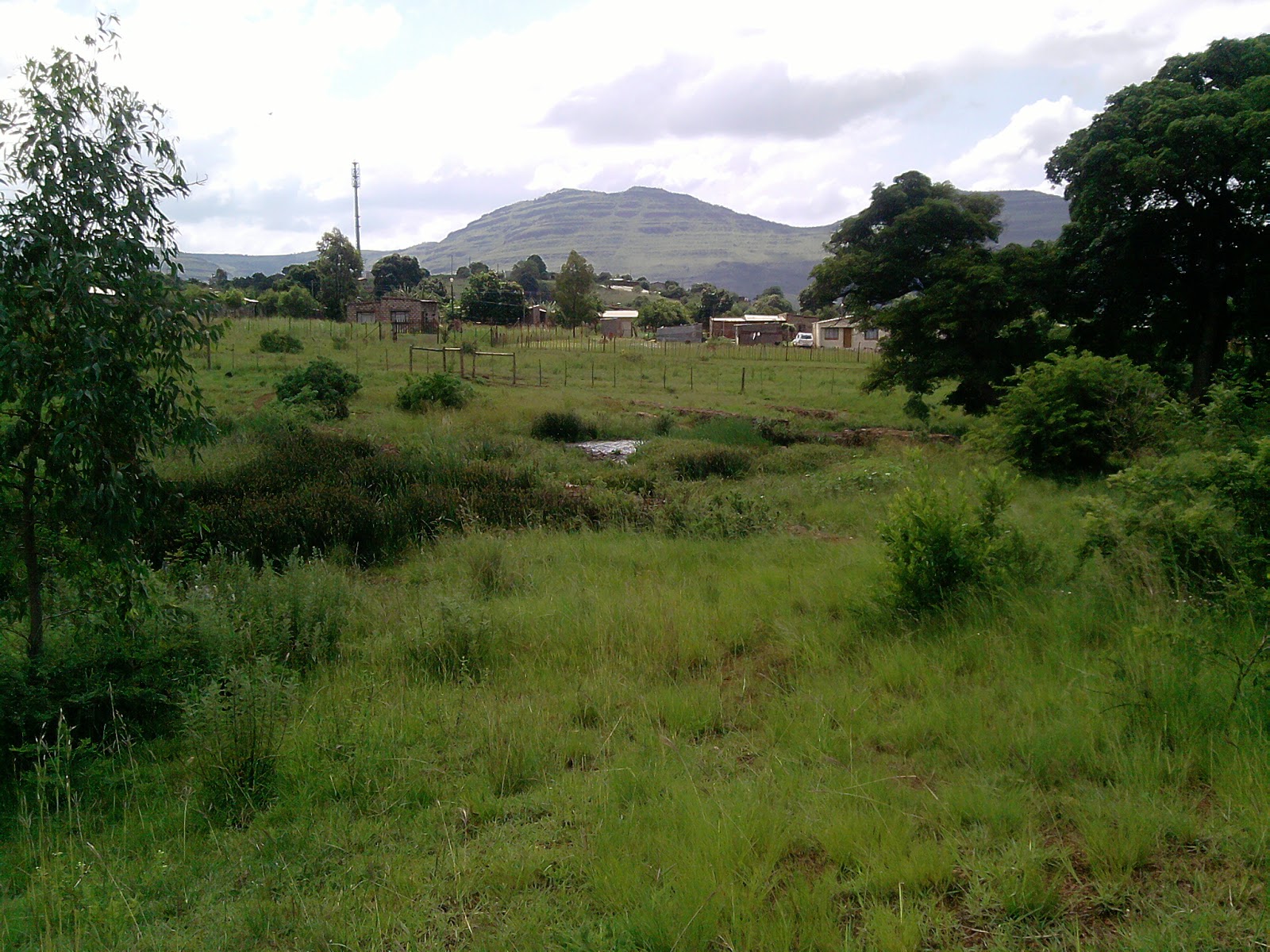 Matibidi Our Home: MATIBIDI OUR HOME: KADISHI WETLAND AND RIVER